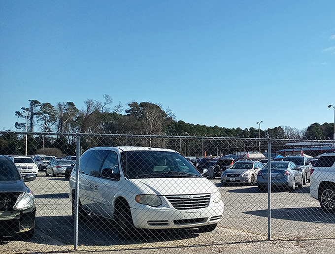 The packed parking lot&mdash;first sign of a successful flea market. Veterans know to arrive early for prime spots and prime finds.