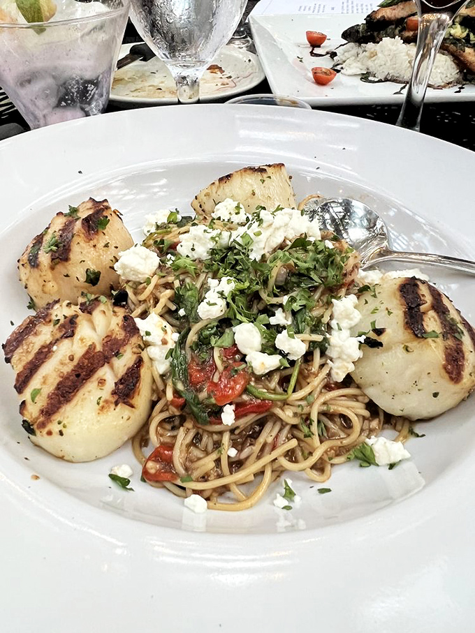 These scallops aren't just seared&mdash;they're transformed into ocean-fresh masterpieces. Perched atop pasta like culinary royalty surveying their delicious kingdom.