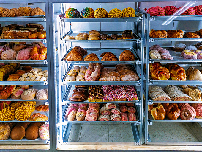 The bakery case at El Rosal is like a museum where you're encouraged to eat the exhibits. Each colorful creation represents centuries of Mexican baking tradition.