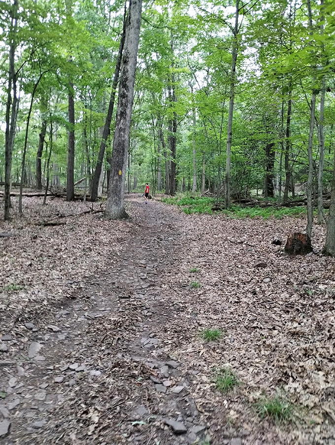 The path less photographed but equally rewarding. This riverside trail delivers front-row seats to nature's ongoing performance &ndash; no tickets required.