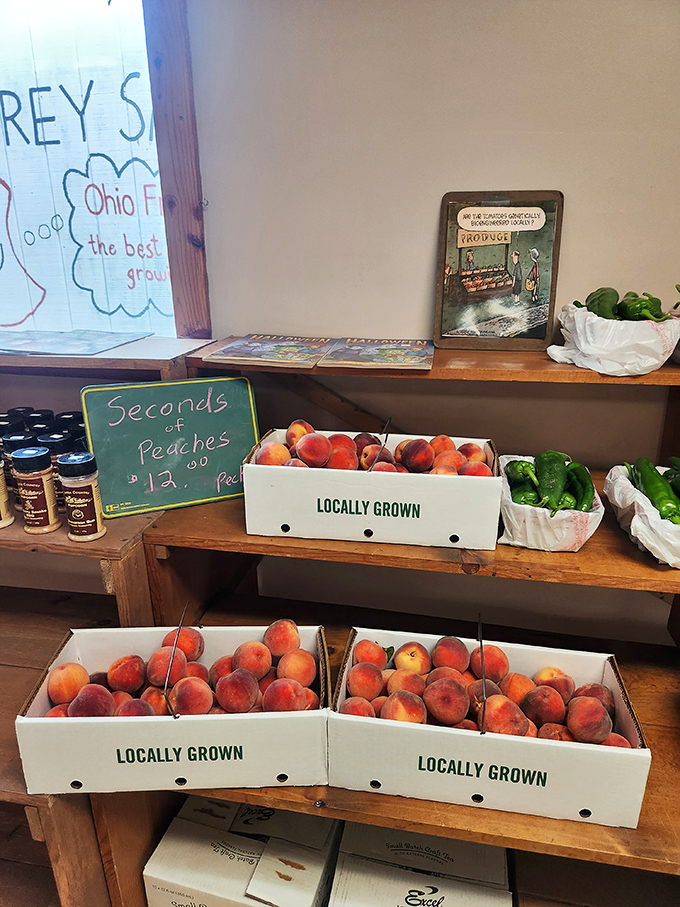 Beyond frozen treasures, Country Maid celebrates Ohio's harvest with locally grown peaches that might just rival their ice cream for sweetness.
