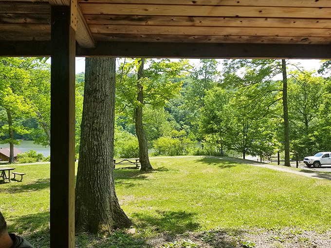 Room with a view? More like picnic with a panorama. That lake glimpse between the trees is nature's version of mood lighting.