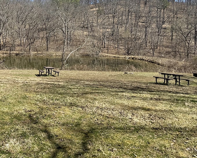 Picnic tables with a view that prehistoric picnickers could only dream about. The perfect spot to contemplate what lies beneath the placid surface.