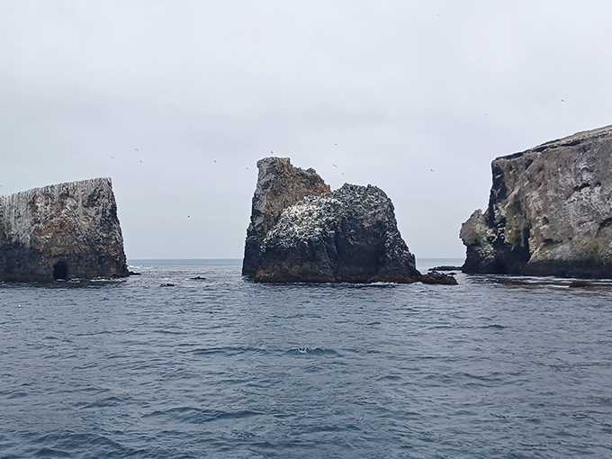 These dramatic rock formations have been sculpted by waves for millennia&mdash;Mother Nature's own abstract art installation.