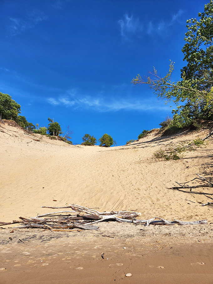 These dunes could easily stand in for a movie set of another planet&mdash;except the oxygen is free and the views are priceless.