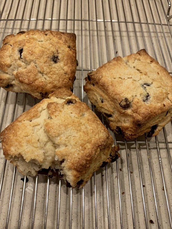 Fresh-baked scones cooling on racks, golden and studded with fruit like edible jewels waiting for discovery.