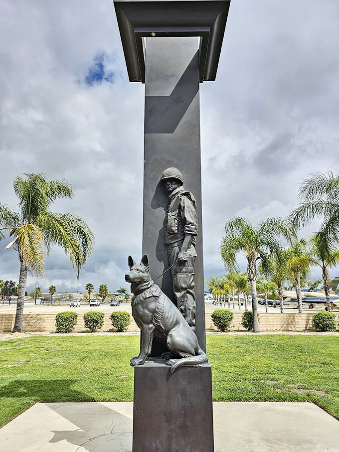 This poignant memorial to military working dogs reminds us that heroism comes on four legs too, standing guard through conflicts across generations.
