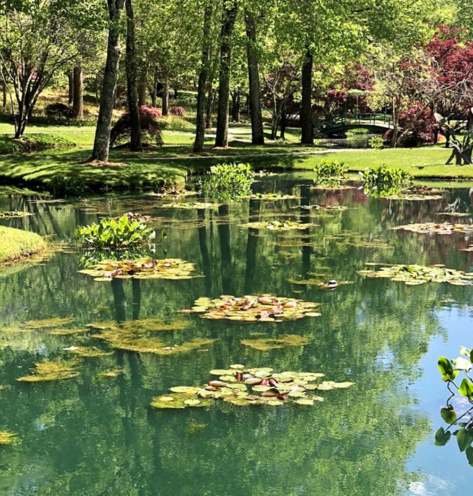 Water lilies float like natural works of art across mirror-like ponds. Monet would have set up his easel here in a heartbeat.