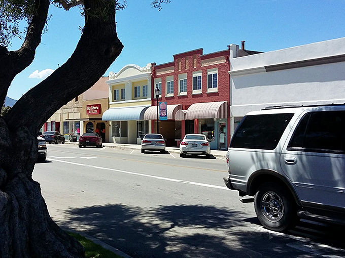 These historic storefronts haven't changed much since the days when Highway 101 was just a dream and agriculture was king.