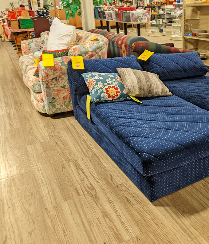 Sofa safari at its finest! That floral print couch has stories to tell, while the blue one's just waiting for someone to fall asleep watching Sunday football.