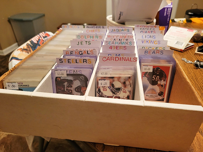 Meticulously organized trading cards &ndash; where childhood heroes and forgotten players share equal billing. Each plastic sleeve holds someone's memory of greatness.