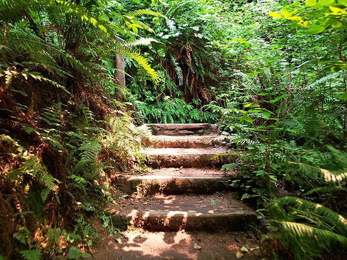 Stairway to heaven? Close enough. These rustic steps lead you deeper into a green cathedral that makes Notre Dame look like new construction.