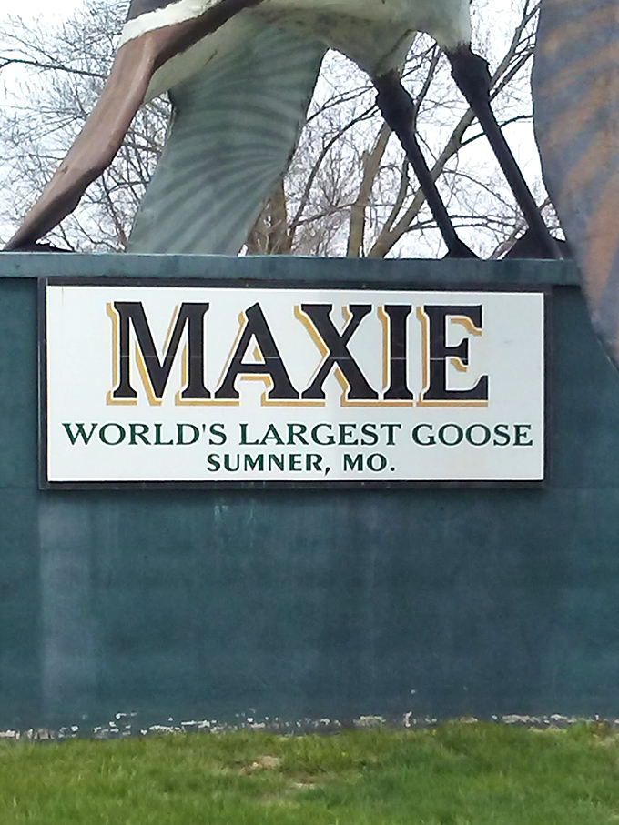 The sign says it all&mdash;Maxie isn't just any goose, she's the WORLD'S LARGEST. Some attractions whisper; this one proudly announces itself.