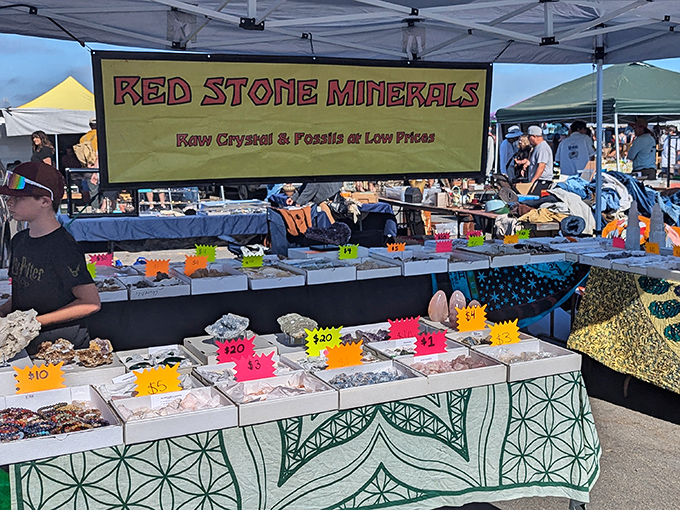 Raw Crystal & Fossils at Low Prices promises the Red Stone Minerals booth, where earth's ancient treasures are displayed like colorful geological candy.