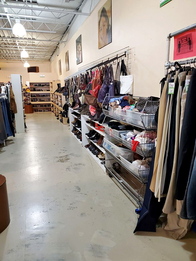 Treasure hunters in their natural habitat, scanning shelves where someone else's "no longer needed" becomes your "can't live without."