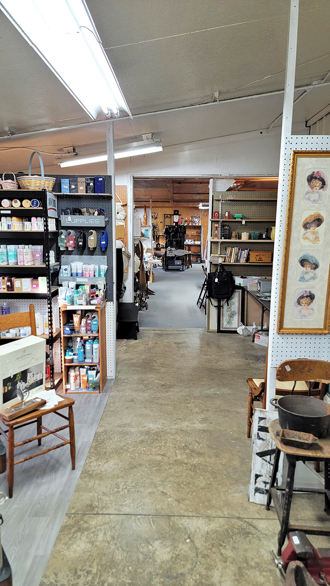 Aisle or rabbit hole? Either way, you're tumbling into a wonderland of vintage finds where time stands still but your shopping list grows.