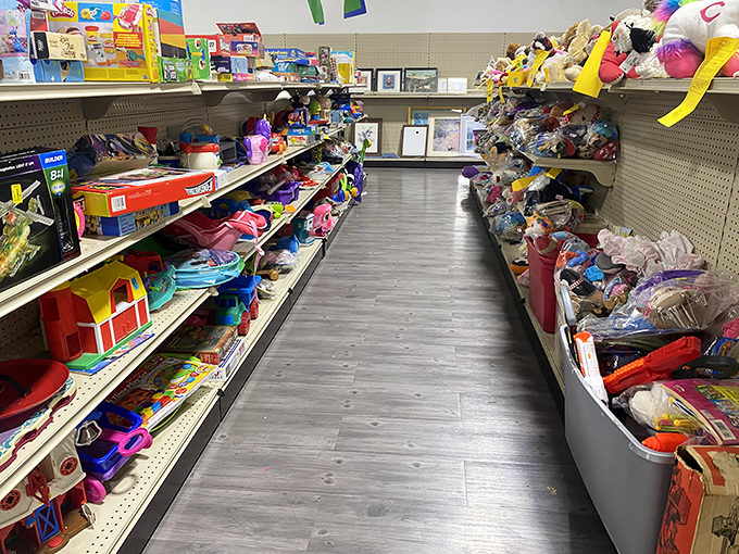 Toy aisle magic: where childhood memories line both sides and parents discover the joy of saying "yes" without checking their bank accounts first.