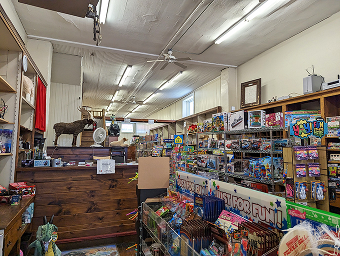 Nostalgia central! Where childhood memories are stacked on shelves, and every toy whispers, "Remember when life was this simple?"