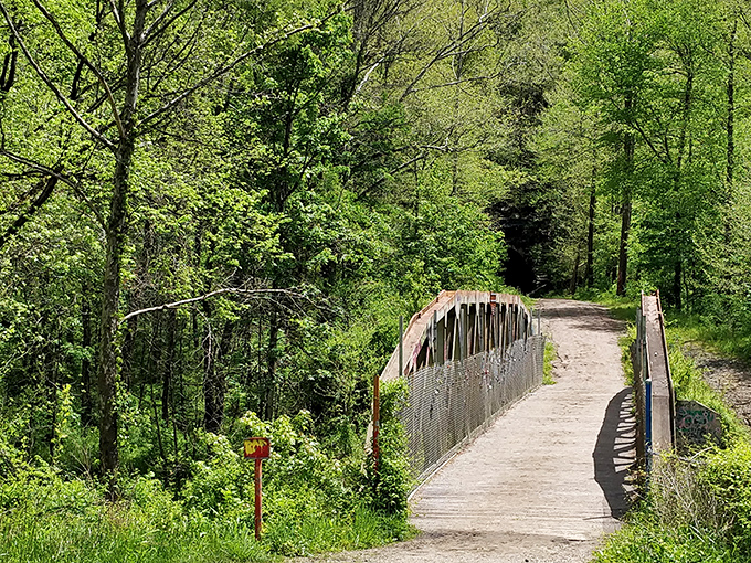 The Moonville Rail Trail bridge offers hikers a path through vibrant spring foliage, leading adventurers deeper into Ohio's hidden wilderness.