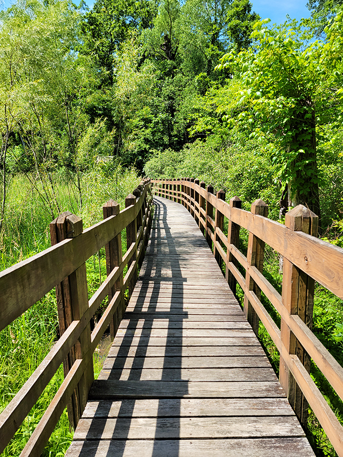 This wooden boardwalk through verdant wetlands is Missouri's version of the yellow brick road&mdash;minus the creepy flying monkeys.