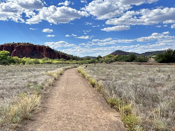 A path to serenity stretches before you, flanked by desert grasses and crowned with clouds that look like they were painted by Bob Ross himself.