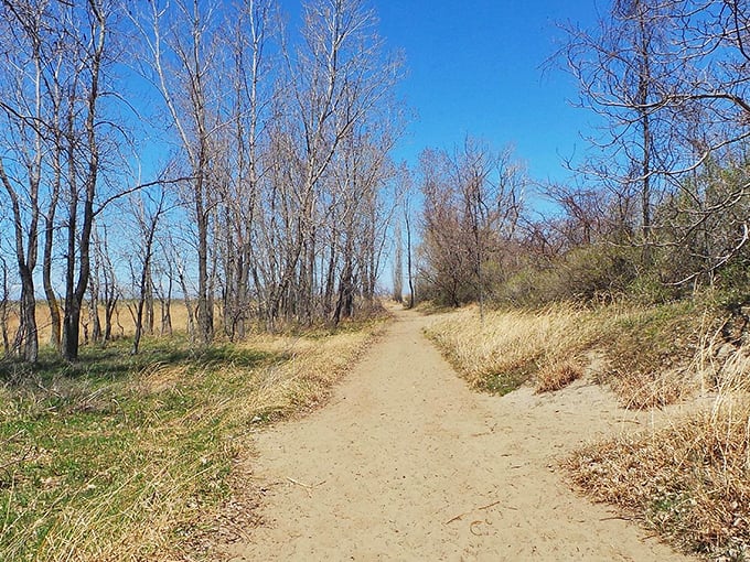 Winding trails through Headlands' natural areas offer a peaceful detour from beach crowds. The path less traveled has fewer sand-filled shoes.