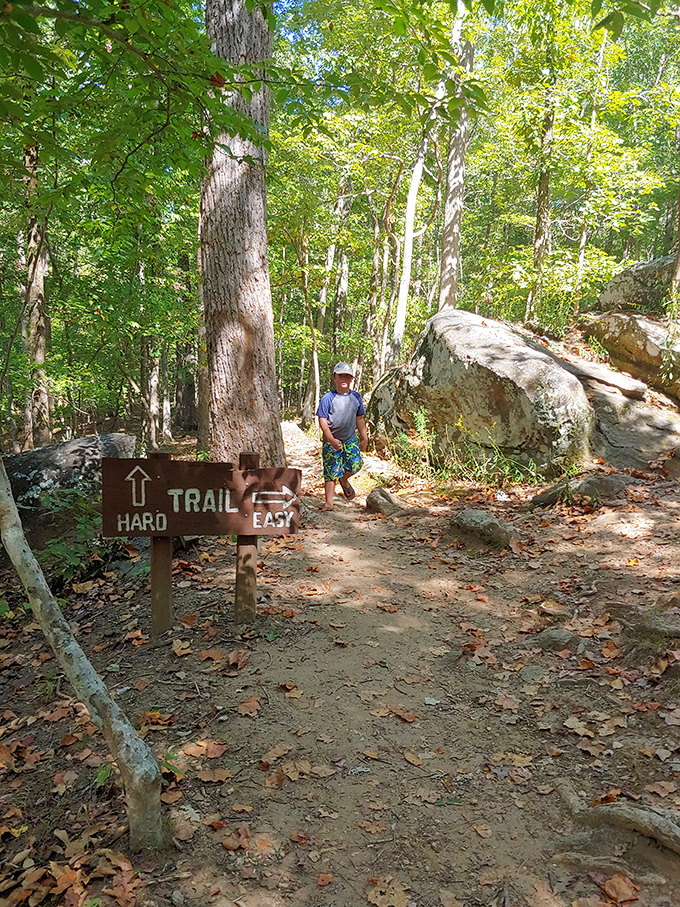Nature's choose-your-own-adventure book comes with helpful signage. "Hard" or "Easy" trail? The real question is: how much adventure can your knees handle today?