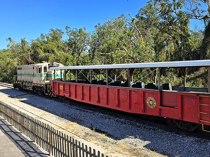Sun-dappled tracks and an open-air car &ndash; the perfect recipe for feeling the Florida breeze while experiencing travel as it was meant to be.
