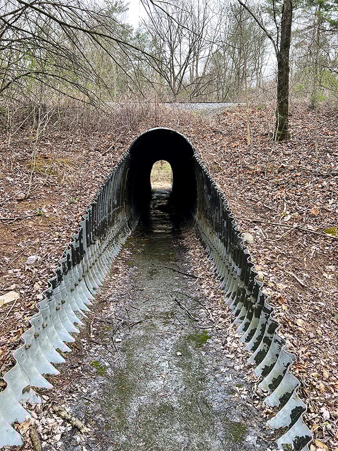 Not all who wander need GPS. This trail tunnel looks like the entrance to a secret level in your favorite childhood video game.