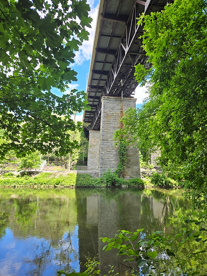 Engineering meets enchantment under this bridge, where reflections double the greenery like nature's own Photoshop effect.