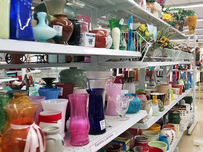 A rainbow of glassware stands at attention, each vase and pitcher silently begging, "Pick me! I'll make your grocery store flowers look fancy!"