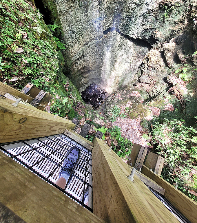 Looking down into the abyss where water disappears into limestone's embrace. It's like Mother Nature's magic trick&mdash;now you see it, now you don't!