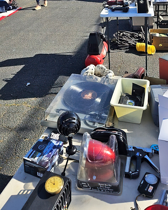 Vintage tech enthusiasts, rejoice! From record players to retro cameras, these gadgets aren't obsolete—they're just waiting for their comeback tour.