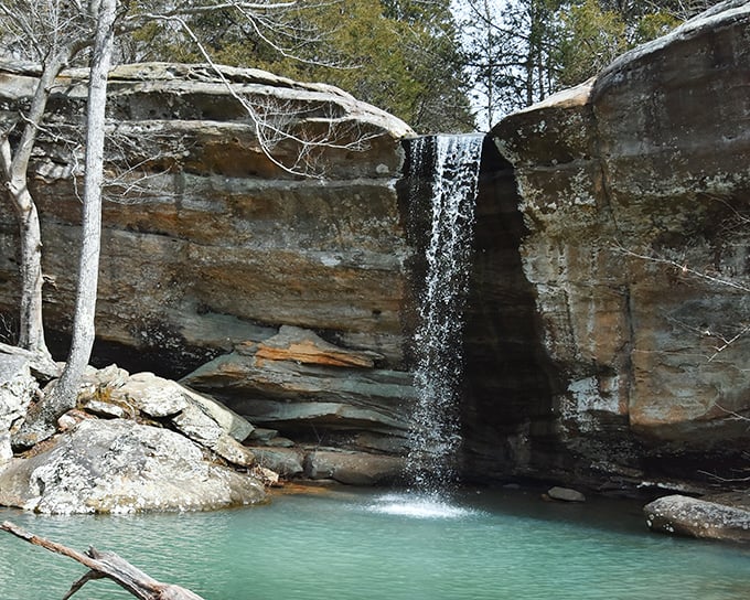 Jackson Falls delivers the soundtrack of wilderness without requiring a subscription. Nature's spa therapy comes complimentary with your hiking efforts.