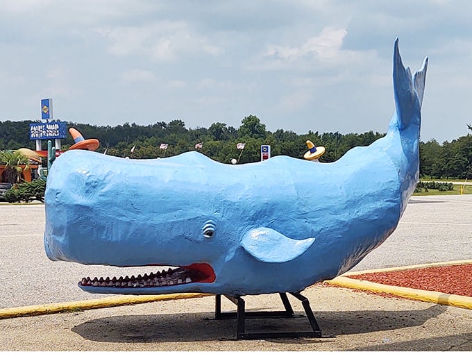 Meet the big blue whale, South of the Border's nautical ambassador, seemingly beached 200 miles from the nearest ocean. Marine biology gets creative here.
