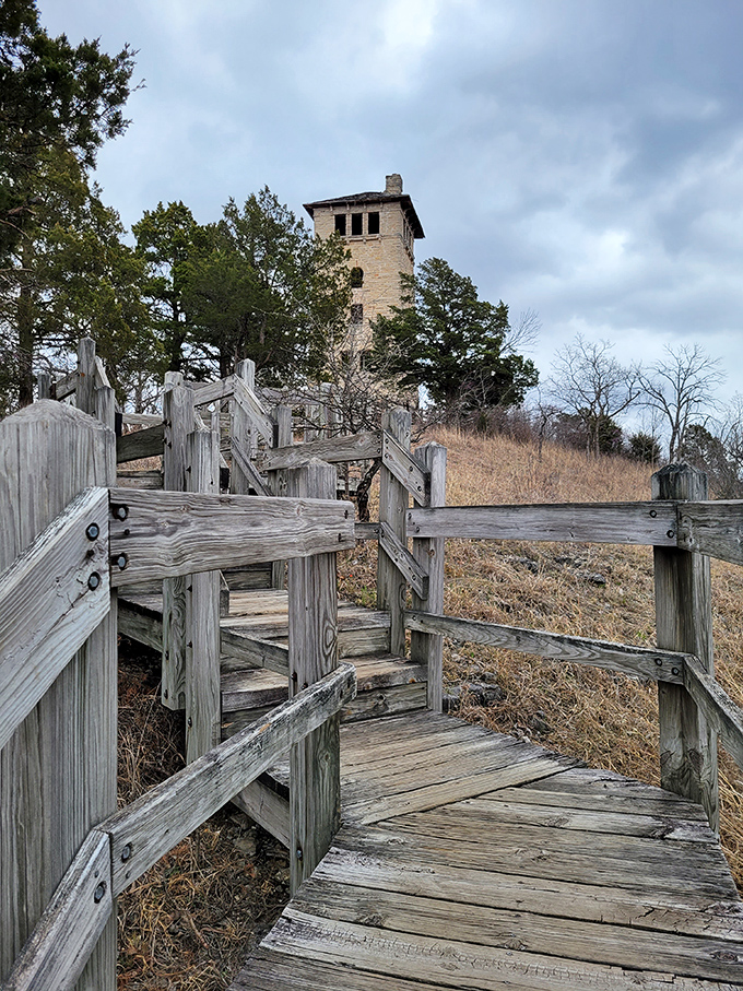 Wooden steps lead adventurers upward, each plank bringing you closer to your own fairy tale.