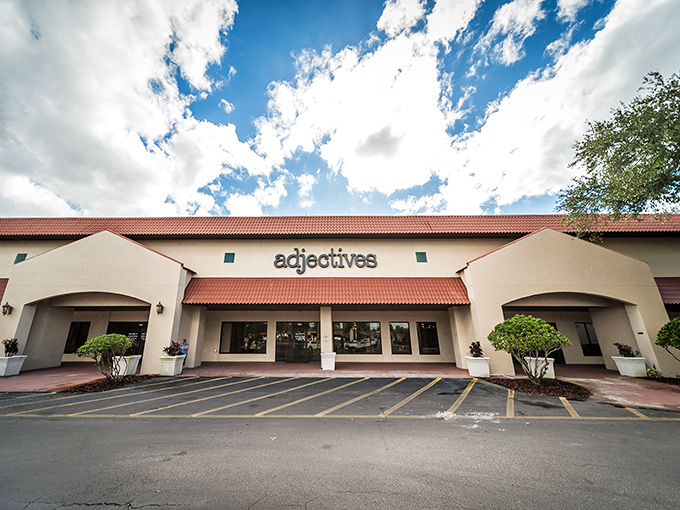 "Adjectives" &ndash; because sometimes you need more than nouns to describe these extraordinary vintage finds.