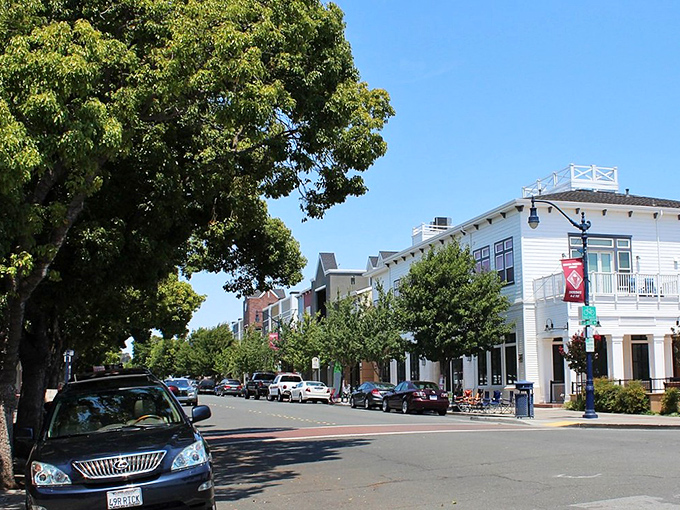 Benicia: This waterfront town once ran California, and it still has that quiet confidence. Historic buildings with stories to tell and bay views to match.