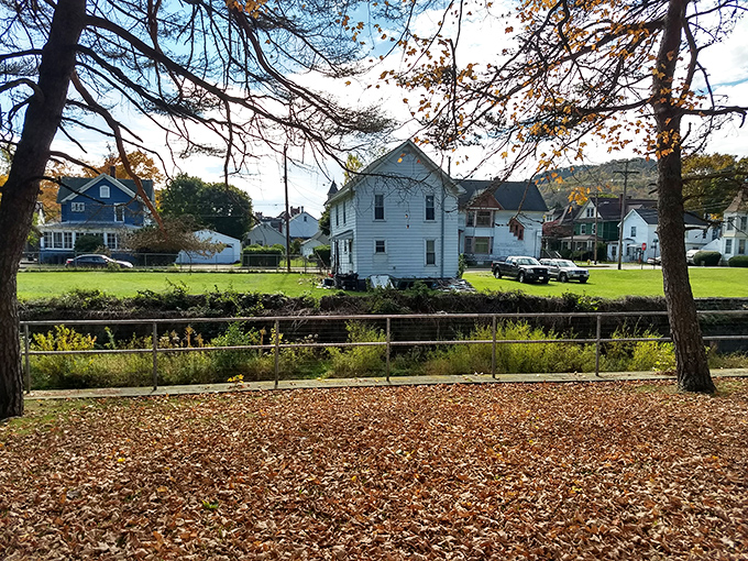 Bradford's historic downtown welcomes with brick facades and the promise of coffee that costs less than your first car payment.