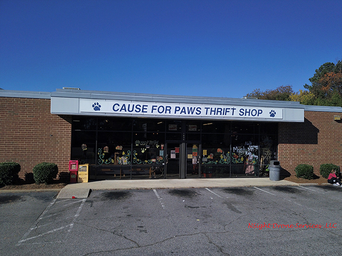 Cause for Paws combines bargain hunting with puppy love. Where finding that perfect vintage sweater helps furry friends find forever homes.