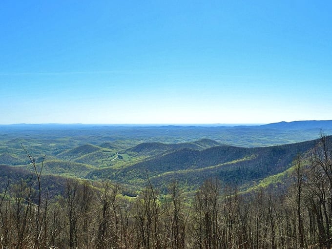 The Blue Ridge Mountains unfold like nature's own masterpiece, layer upon misty layer stretching toward the horizon.