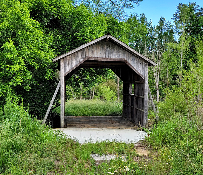 Kimesville's humble bridge stands surrounded by nature's wild garden. Proof that sometimes the simplest structures tell the best stories.
