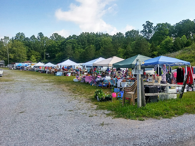 Bargain hunter's playground! Log Cabin Flea Market's outdoor setup creates a festival atmosphere for treasure seekers.