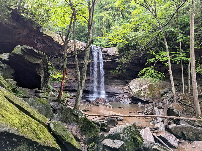 Ohiopyle's rushing waters carve through ancient rock, creating a playground where nature does the landscaping and humans just enjoy the show.