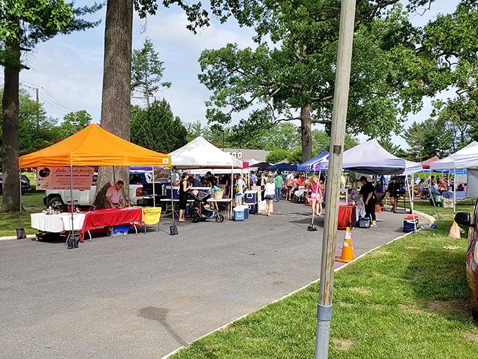 Olney's market brings together farmers and artists under leafy canopies. Nature provides the perfect shopping backdrop!