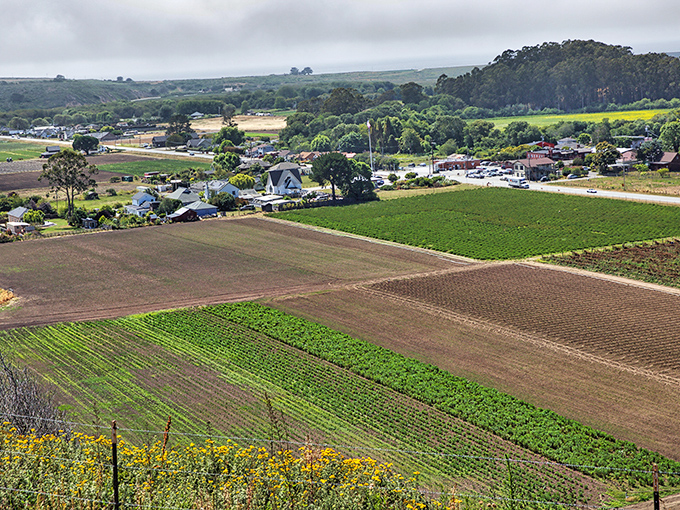 Pescadero's farmland stretches toward the horizon like a patchwork quilt made by Mother Nature herself. Farm-to-table isn't a trend here&mdash;it's life.