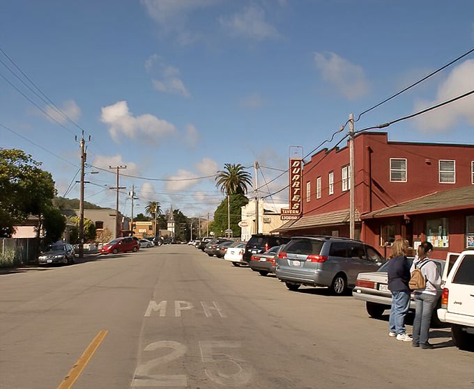 Pescadero's main street might be small, but like your grandmother's cooking, it packs tremendous flavor into a modest package.
