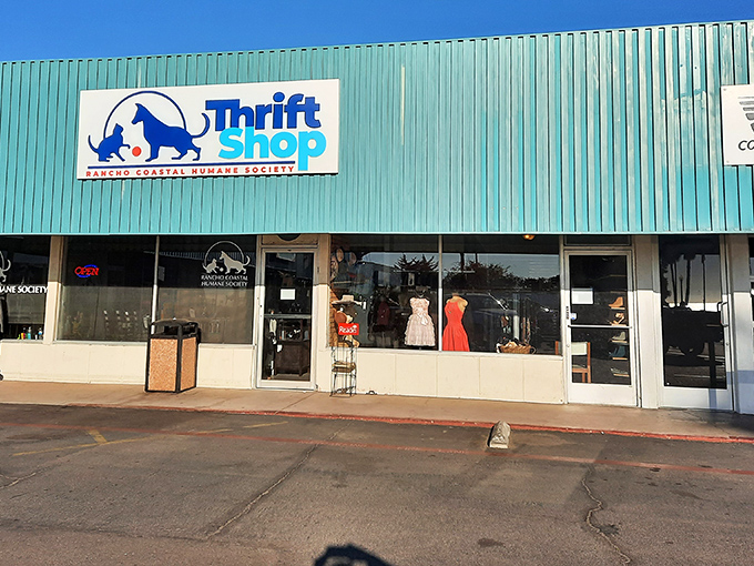 This coastal thrift shop proves that helping animals and finding treasures make the perfect partnership. 