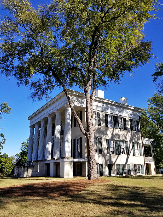 Rose Hill's stately white columns and perfect symmetry make it the quintessential Southern mansion of our collective imagination.