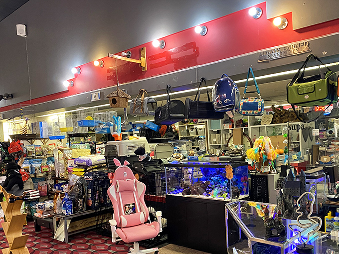 Cartoon nostalgia overload! This vendor's Snoopy-filled booth at Rossi's Market would make Charles Schulz himself stop for a second look.